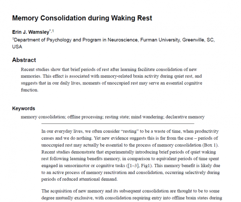 Offline memory consolidation during waking rest - High Performance Routines